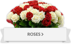 Florists in Rowland Heights, Whittier, Glendora, CA | Ron & Alicia ...